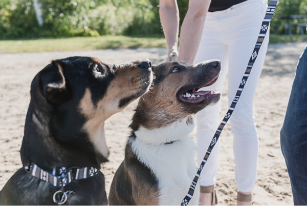 Dodge #4 State Park anniversary session in Waterford, MI by Kari Dawson